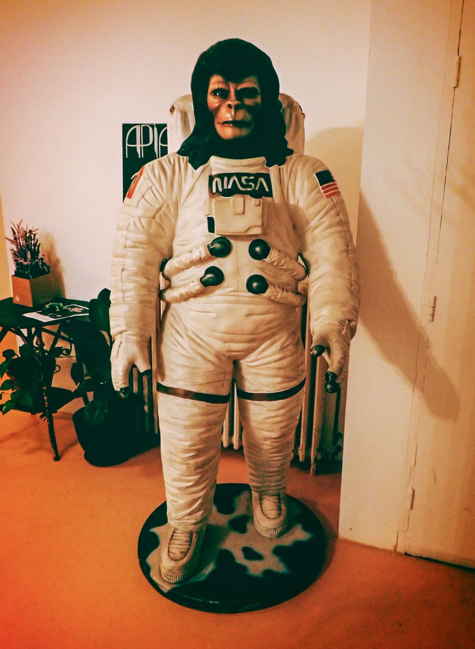 OM System Tough TG-7 review: indestructable camera, impressive results ...