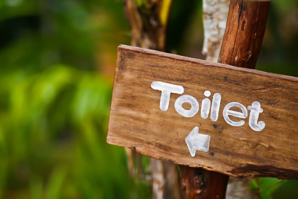 5 Ways Your Poop Can Advise You on Health | Live Science