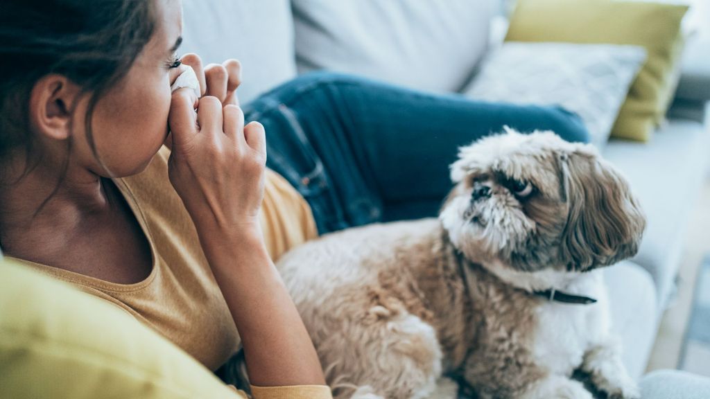 Allergic to dogs? Here’s how to manage your symptoms | PetsRadar