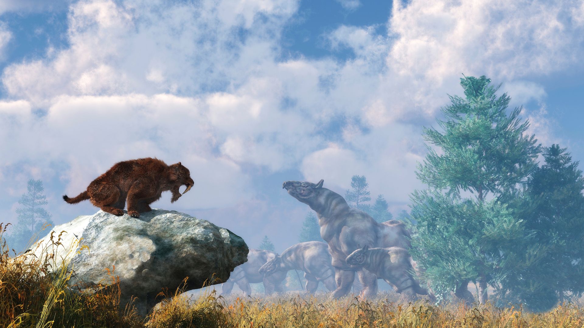 Did cats really disappear from North America for 7 million years ...