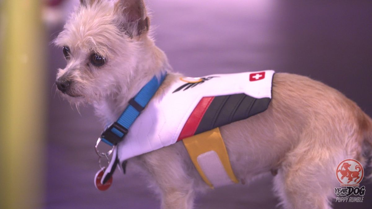 The Overwatch 'Puppy Rumble' celebrates the Year of the Dog with real ...