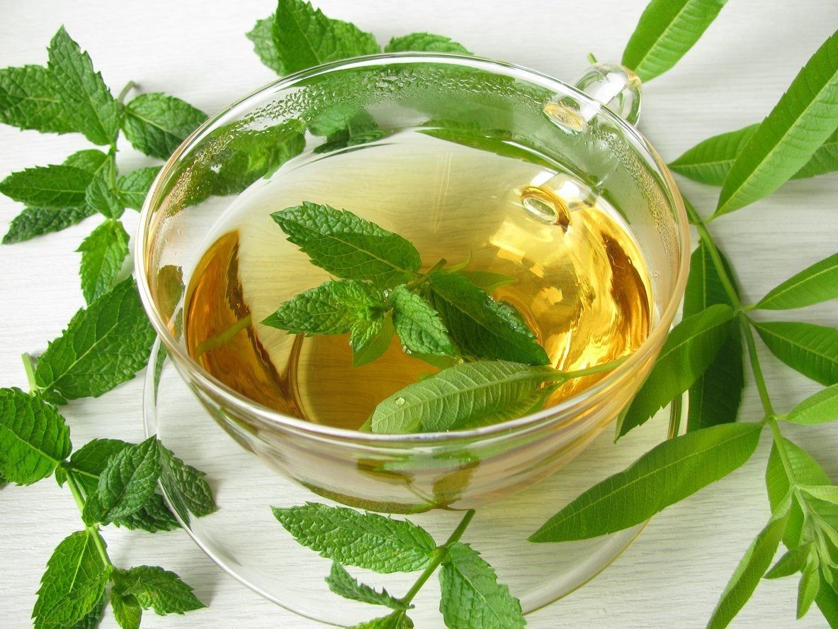 How To Use Verbena As Medicine: A Guide To Verbena Herbal Uses ...