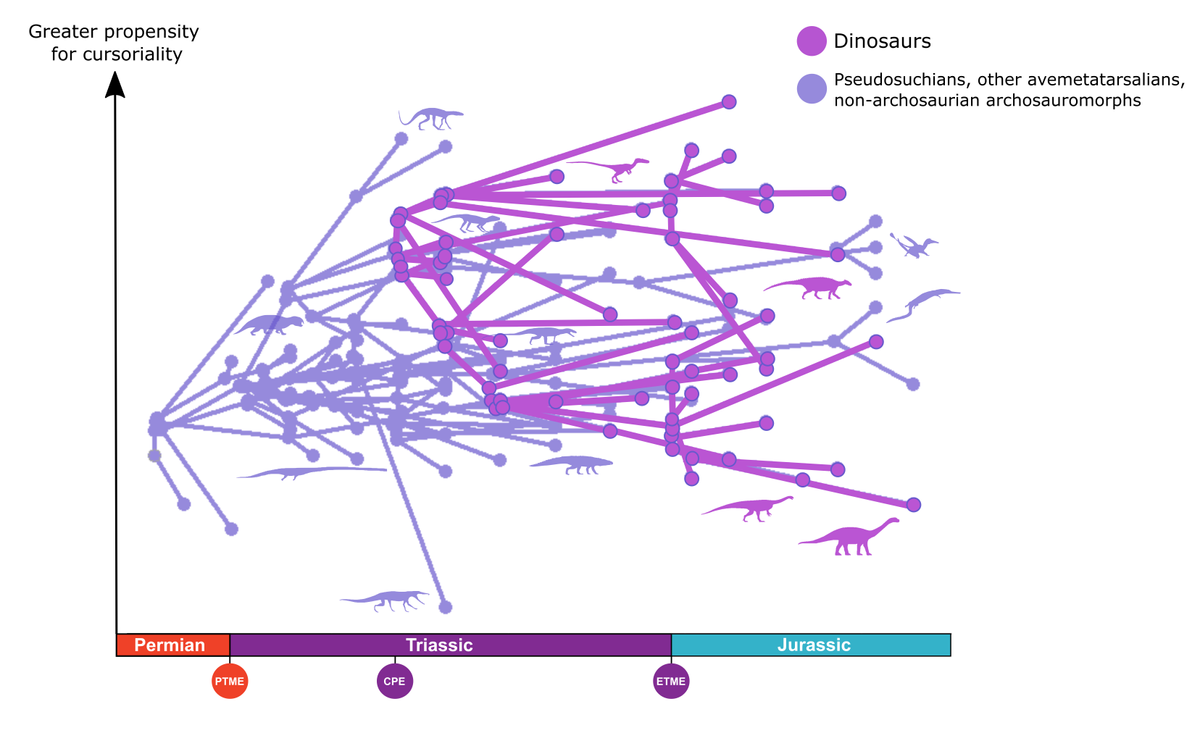 Dinosaurs dominated our planet not because of their massive size or ...
