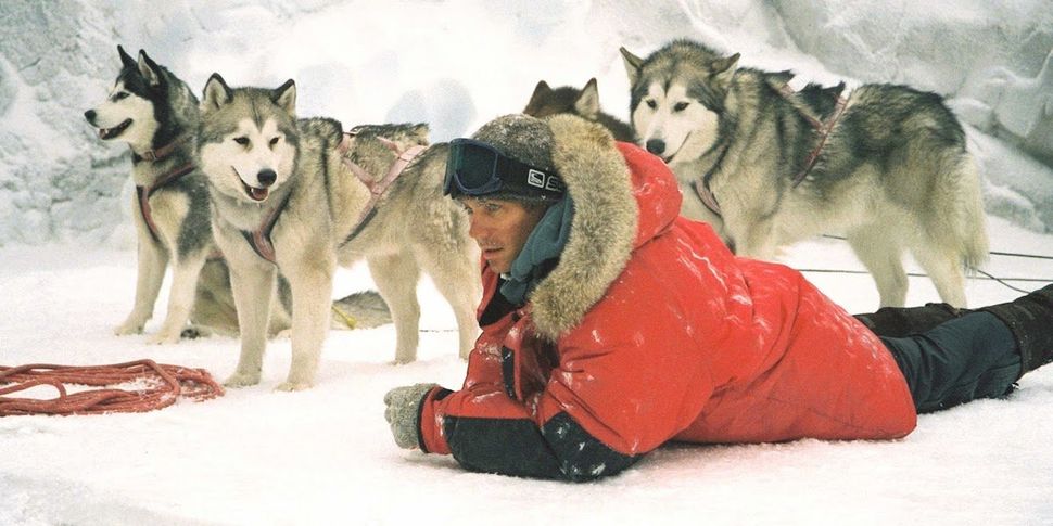 The 10 Best Dog Movies Ranked, Including Togo | Cinemablend