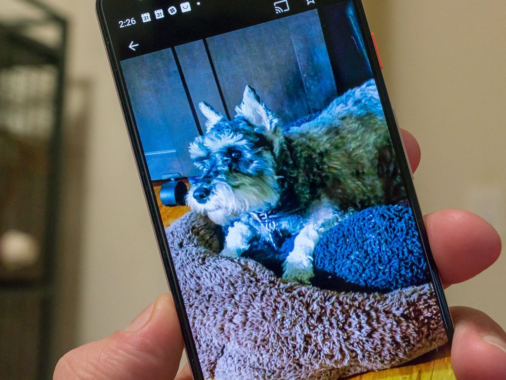 How to export your photos from Google Photos | Android Central