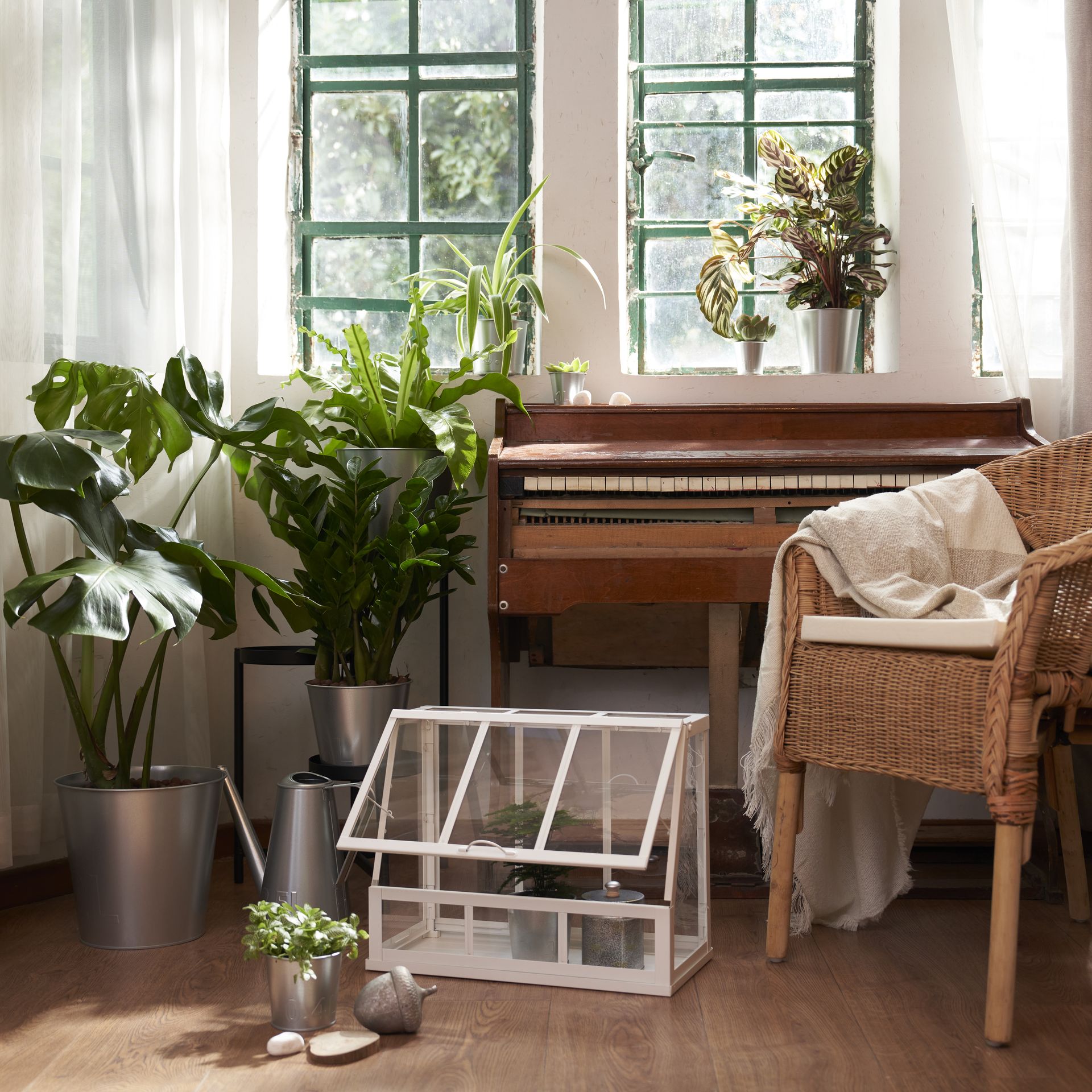 IKEA's Windowsill Greenhouse is Great for Sowing Spring Seeds | Livingetc