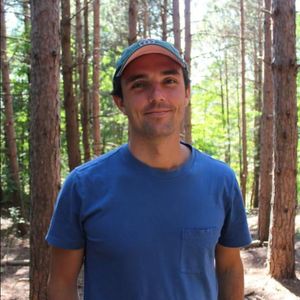 How to clean blinds while hanging up: 7 expert methods