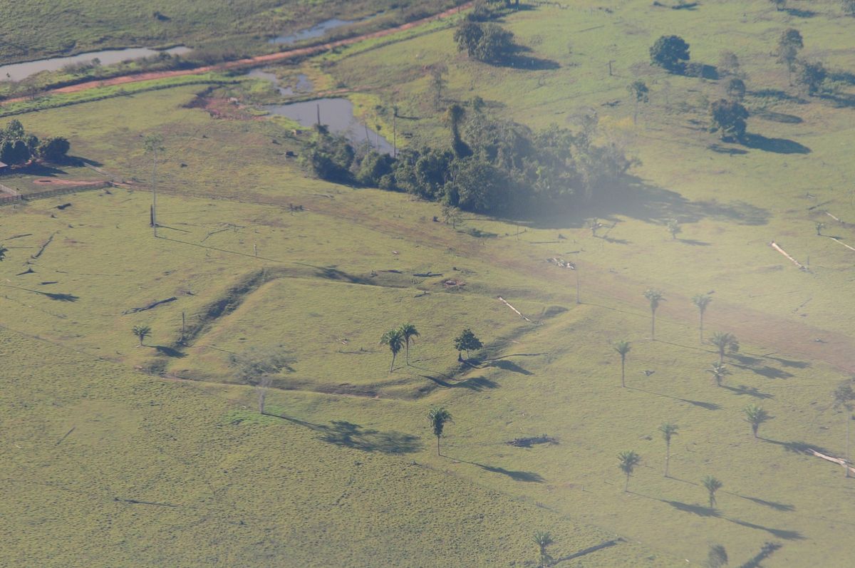 In Photos: Mysterious Amazonian Geoglyphs | Live Science