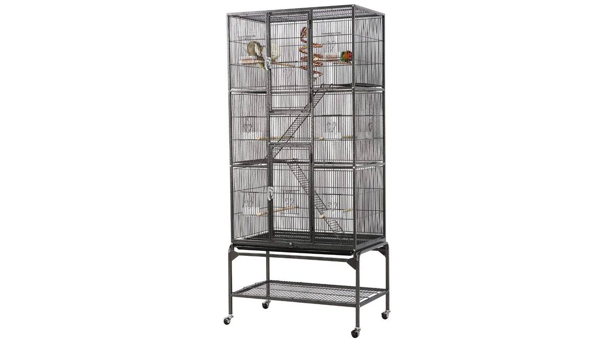 Best parrot cage: Get a first-rate home for your bird | PetsRadar