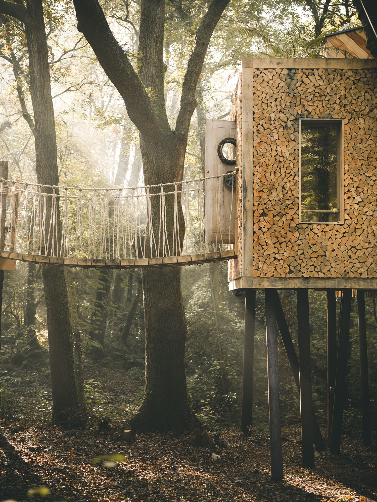 Amazing Treehouse Design Ideas: 10 Modern Treehouses That Inspire