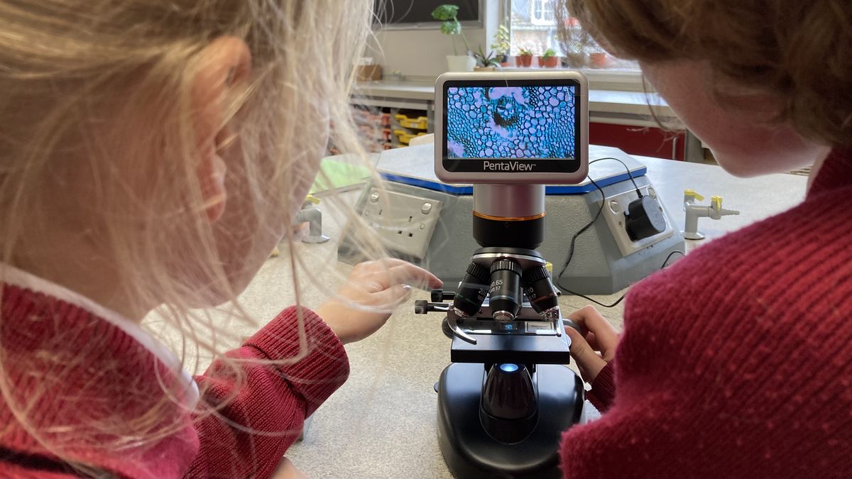 Celestron PentaView LCD Digital Microscope Review | Live Science