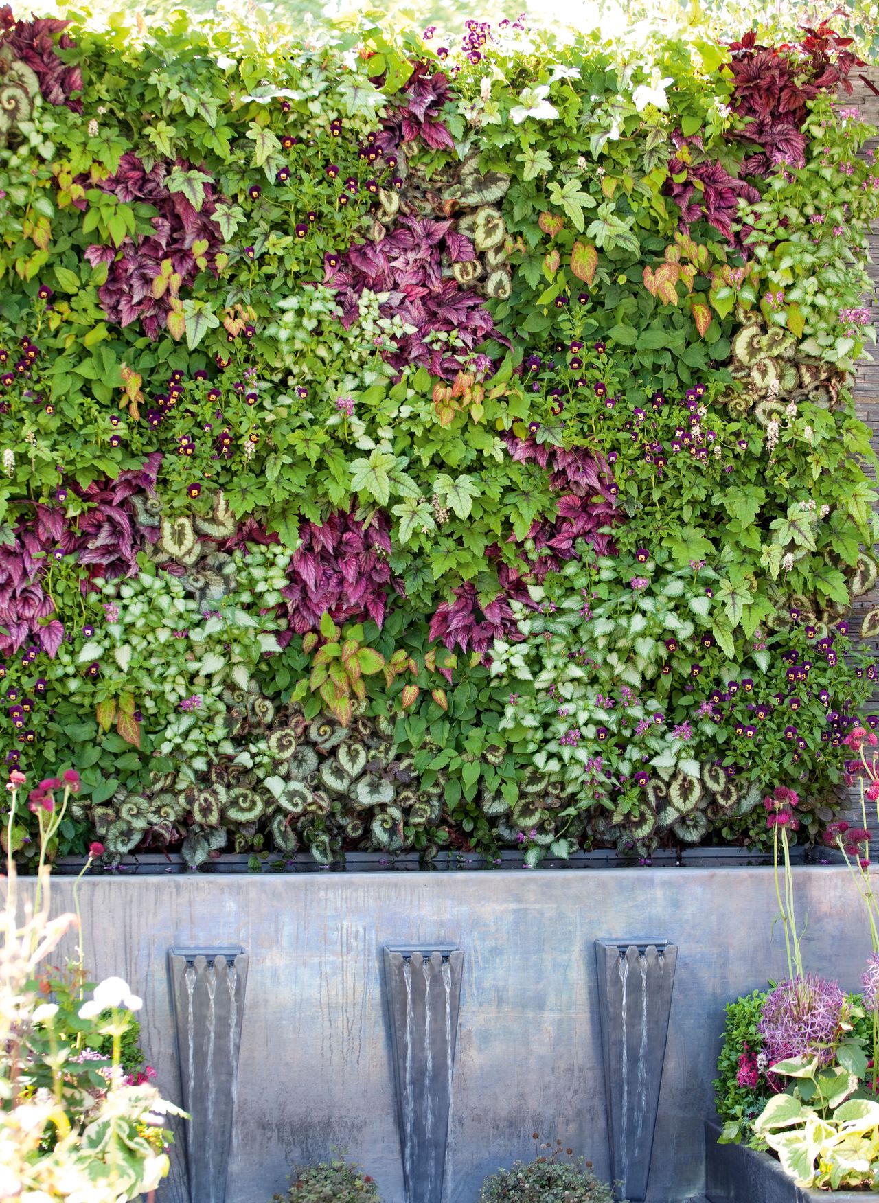 Mark Lane give his top tips for self-watering vertical gardens ...