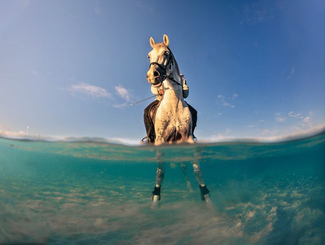 The "photography trailblazers of tomorrow": Sony World Photo Awards ...