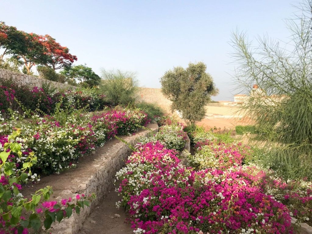 Split Level Garden Ideas: Multi Level Landscape | Gardening Know How