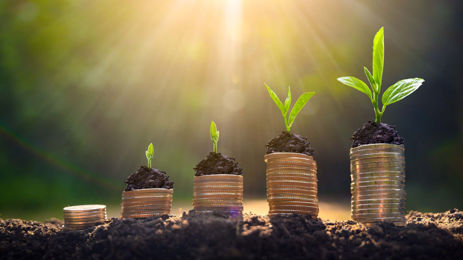 The Best Fidelity Funds for 401(k) Retirement Savers | Kiplinger