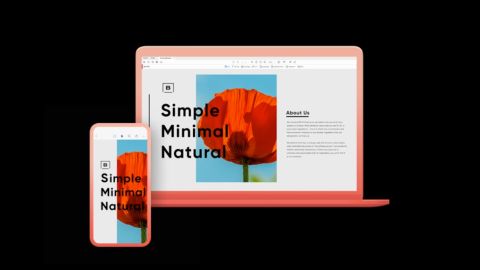 Download Adobe Acrobat: Get an Adobe Acrobat free trial | Creative Bloq