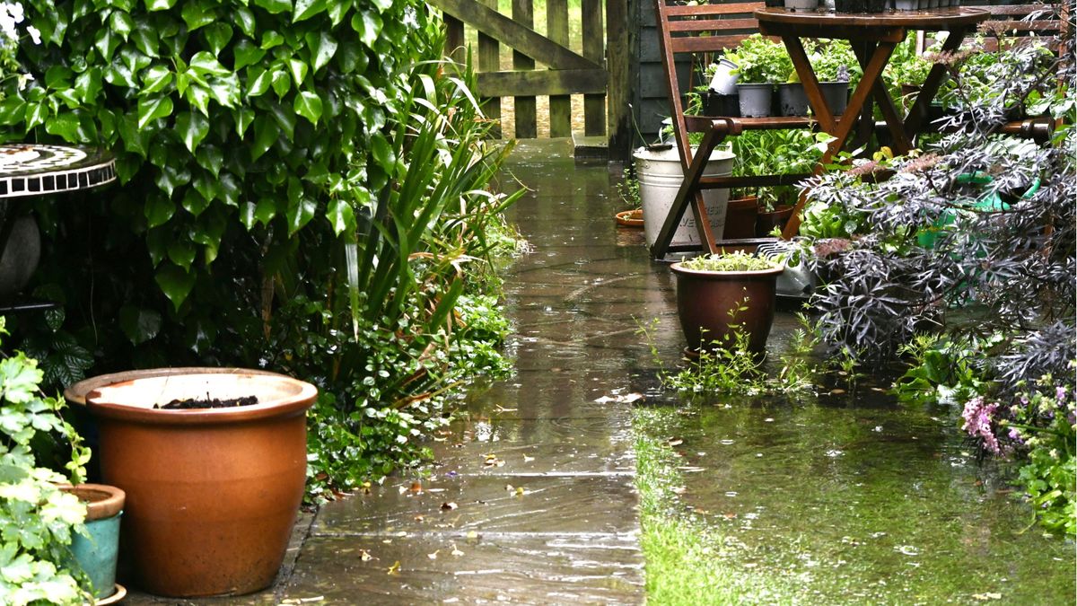 How to protect plants from a storm: 5 key actions | Homes and Gardens