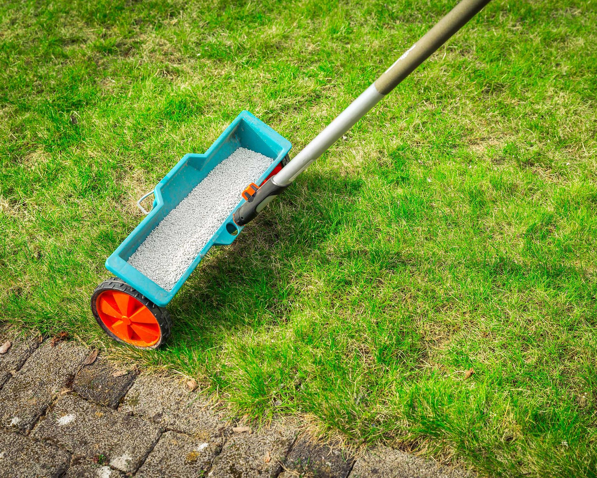 When to water after applying weed and feed: tips for turf | Gardeningetc