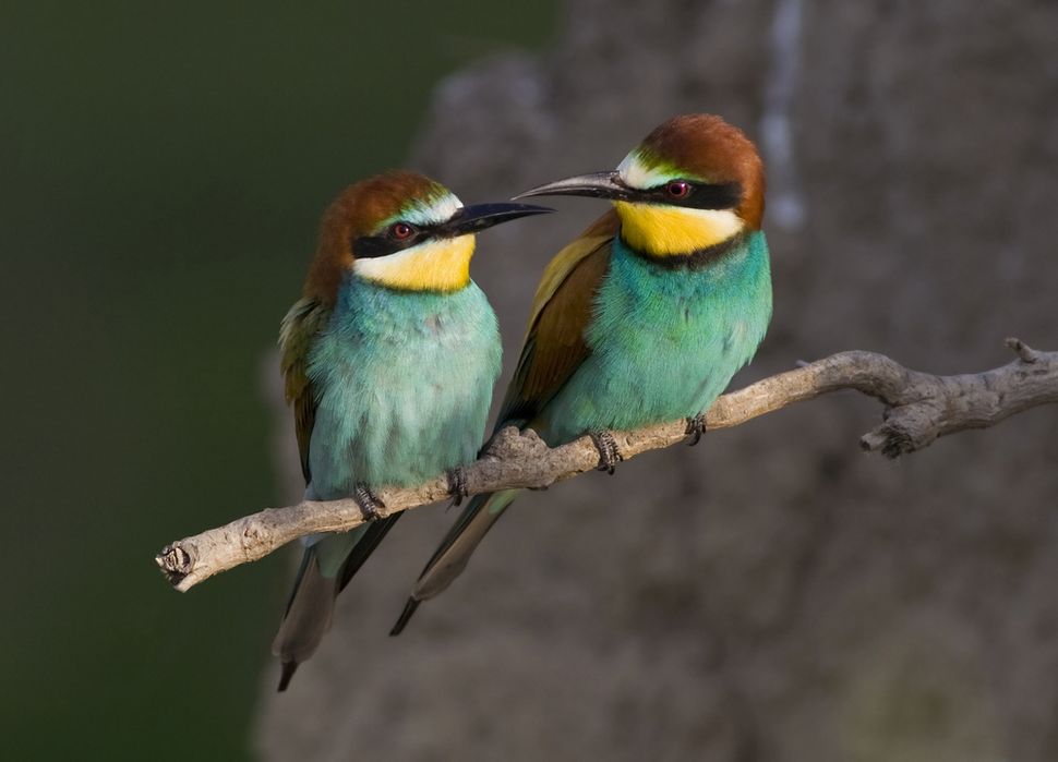 11 Surprising Facts About the Reproductive System | Live Science