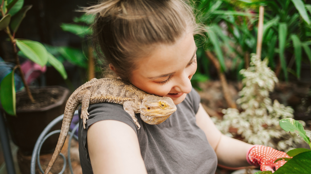 Best pet reptiles: 5 species that are great for beginners | PetsRadar