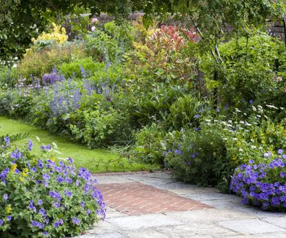 Flowers to plant in July for years of glorious blooms | Homes and Gardens