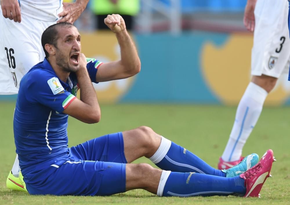 Chiellini calls for action against 'shameful' Suarez | FourFourTwo