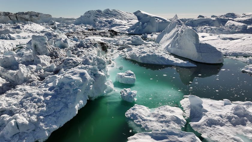 10 amazing discoveries from Antarctica in 2022 | Live Science