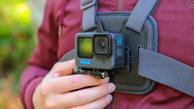 Best camera harness in 2026: carry your cameras hands-free and in ...
