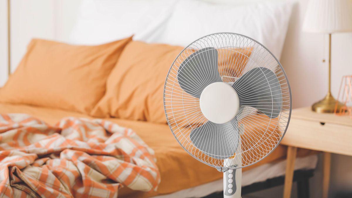 7 ways to prevent mosquito bites at night | Tom's Guide