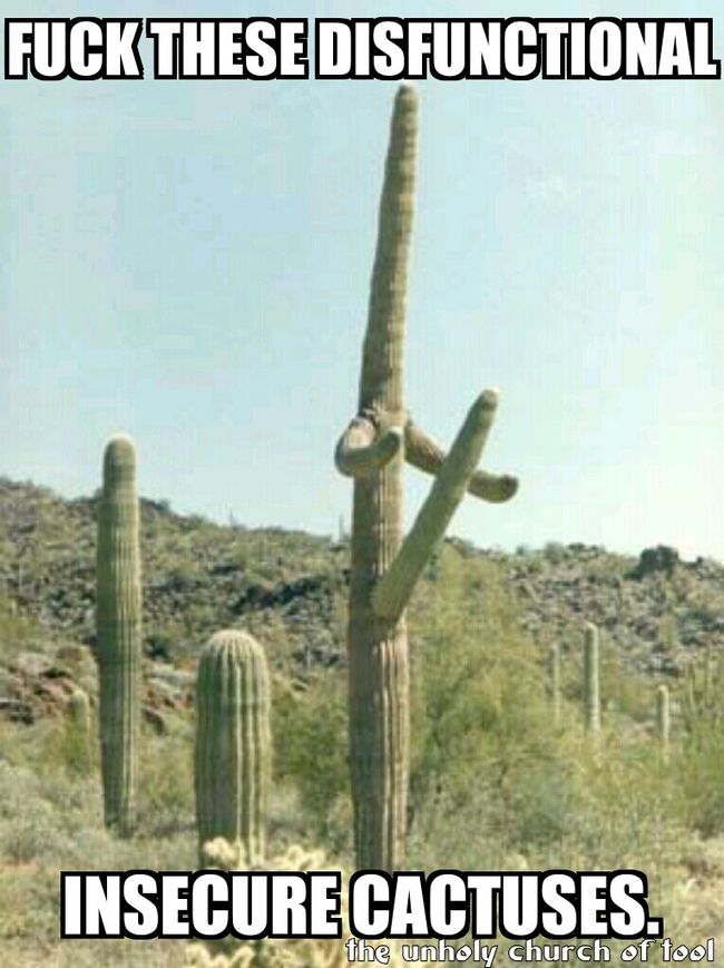 The 10 greatest Tool memes | Louder