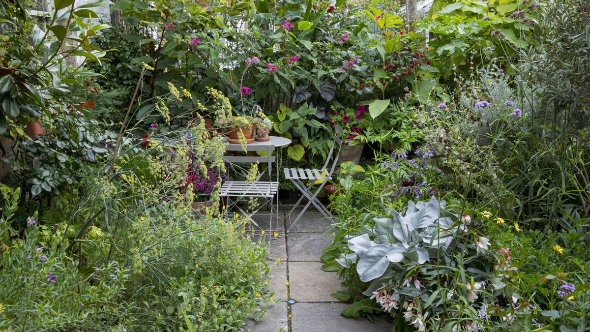 'We Transformed An Overlooked Courtyard Into A Plant-filled ...