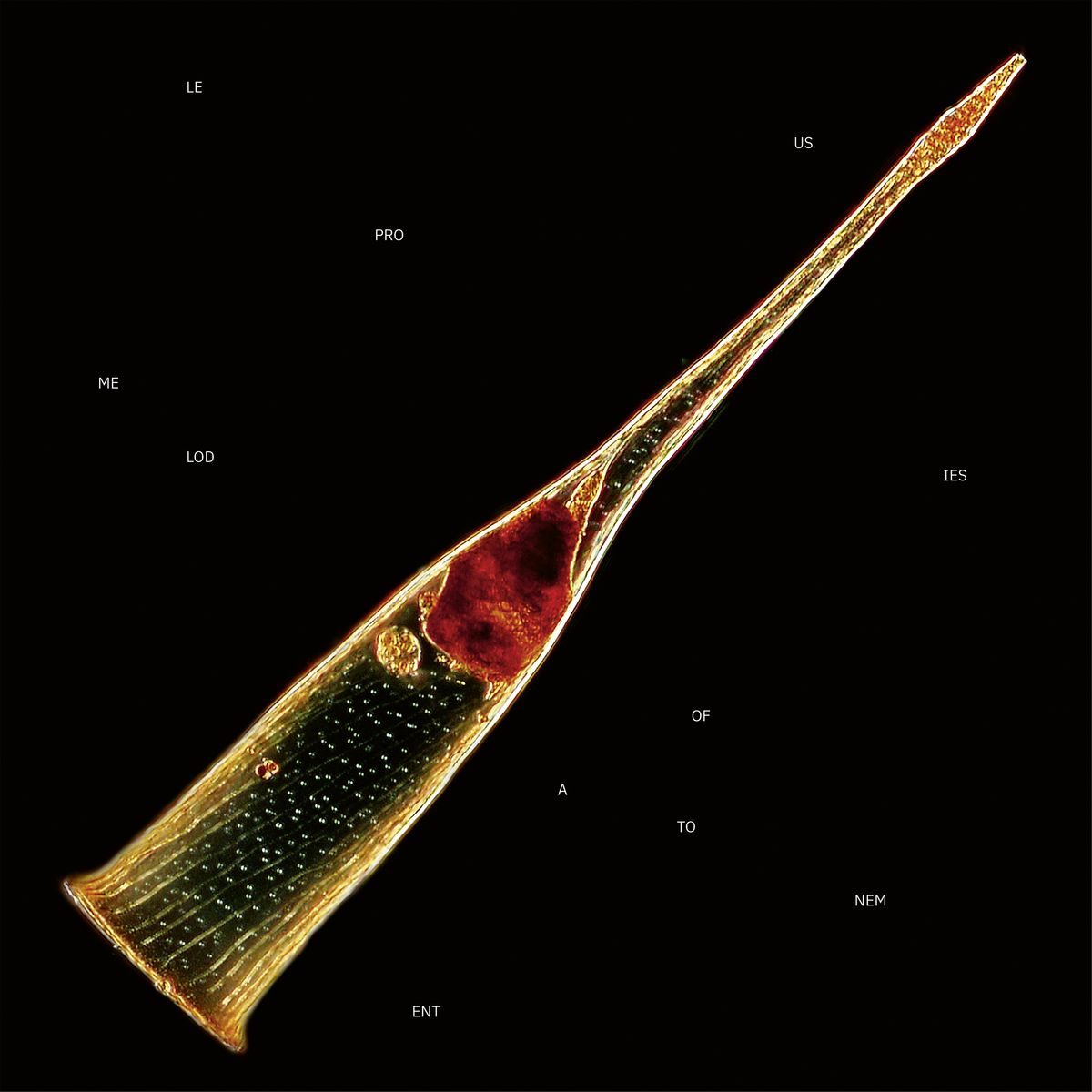 Leprous announce new album Melodies Of Atonement will be released in ...