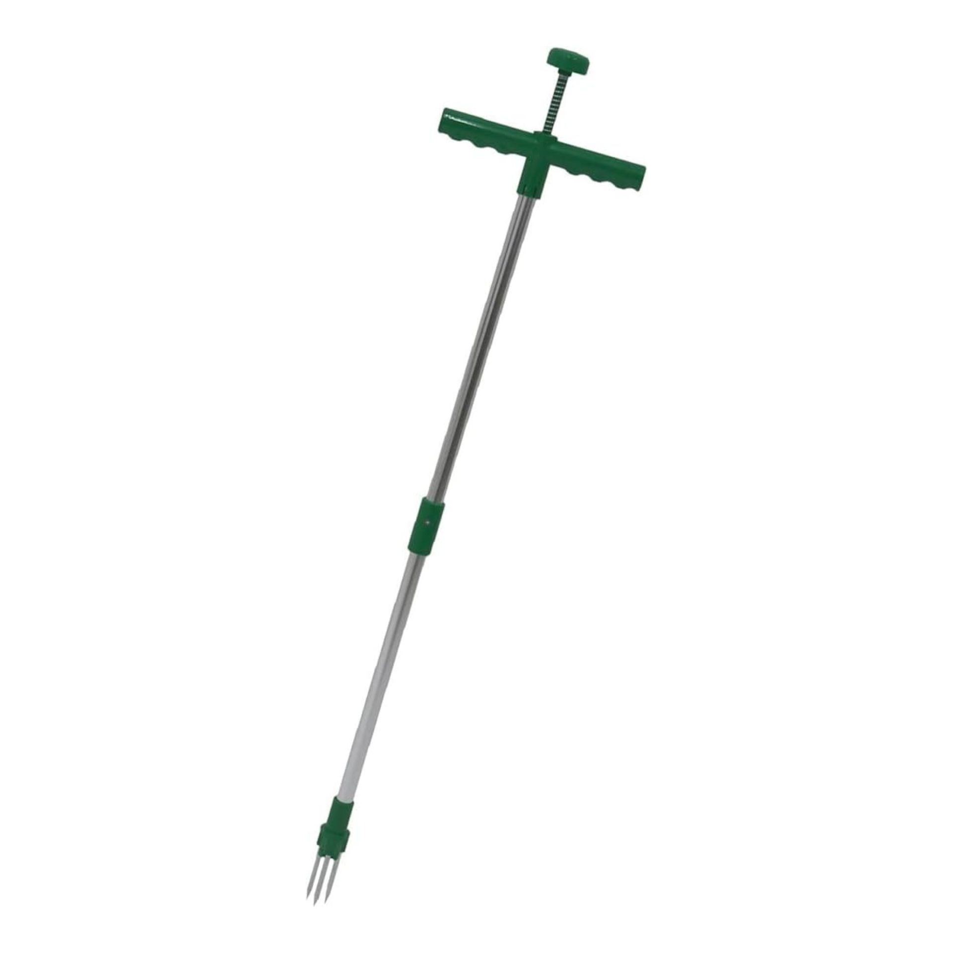 Does baking soda kill weeds? Yes, but experts urge you to think twice ...