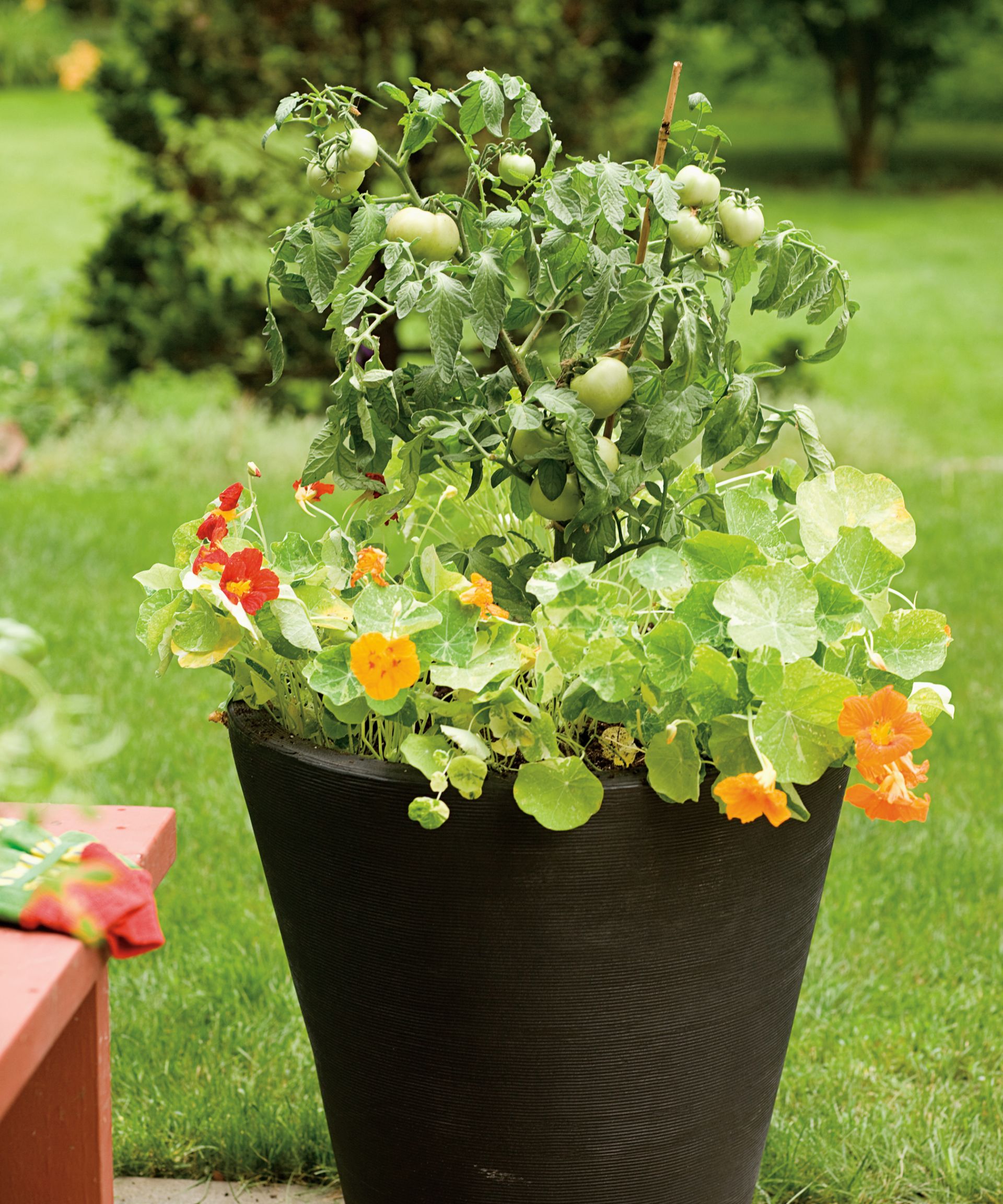 8 Fantastic Container Vegetable Combinations | Gardening Know How
