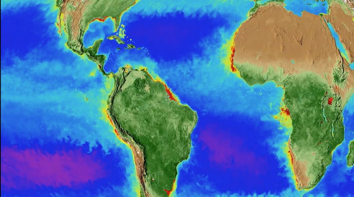 Earth's Life Reacts to 20 Years of Environmental Change in Animation ...