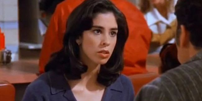 Seinfeld: 20 Actors You Might Have Forgotten Were On The Hit Sitcom ...