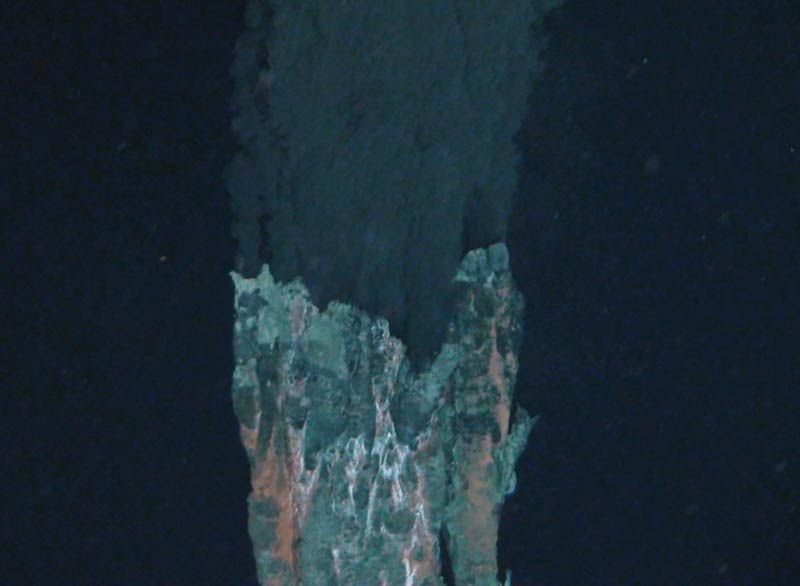 Eyeless Shrimp Discovered at Deepest Volcanic Vents | Live Science