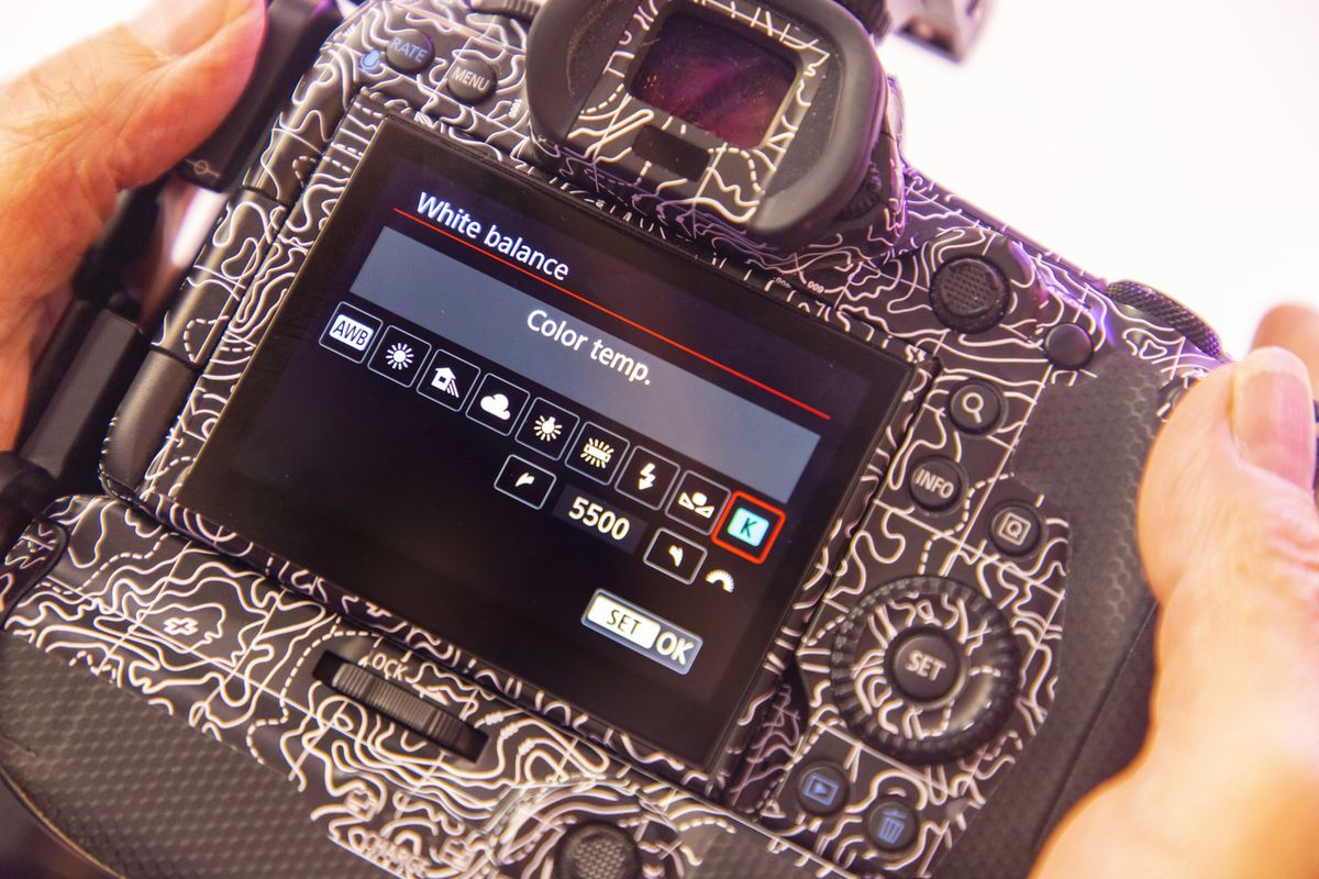 10 pro photo tips for incredible portraits in a simple home studio ...