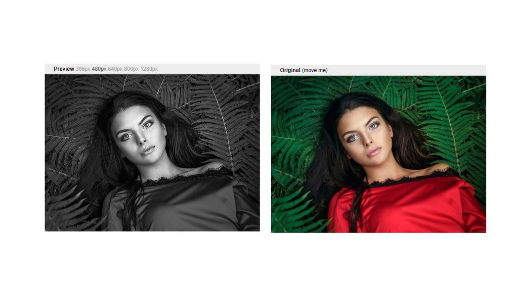 Make your Nikon Zf destroy the X100VI with these film profiles ...