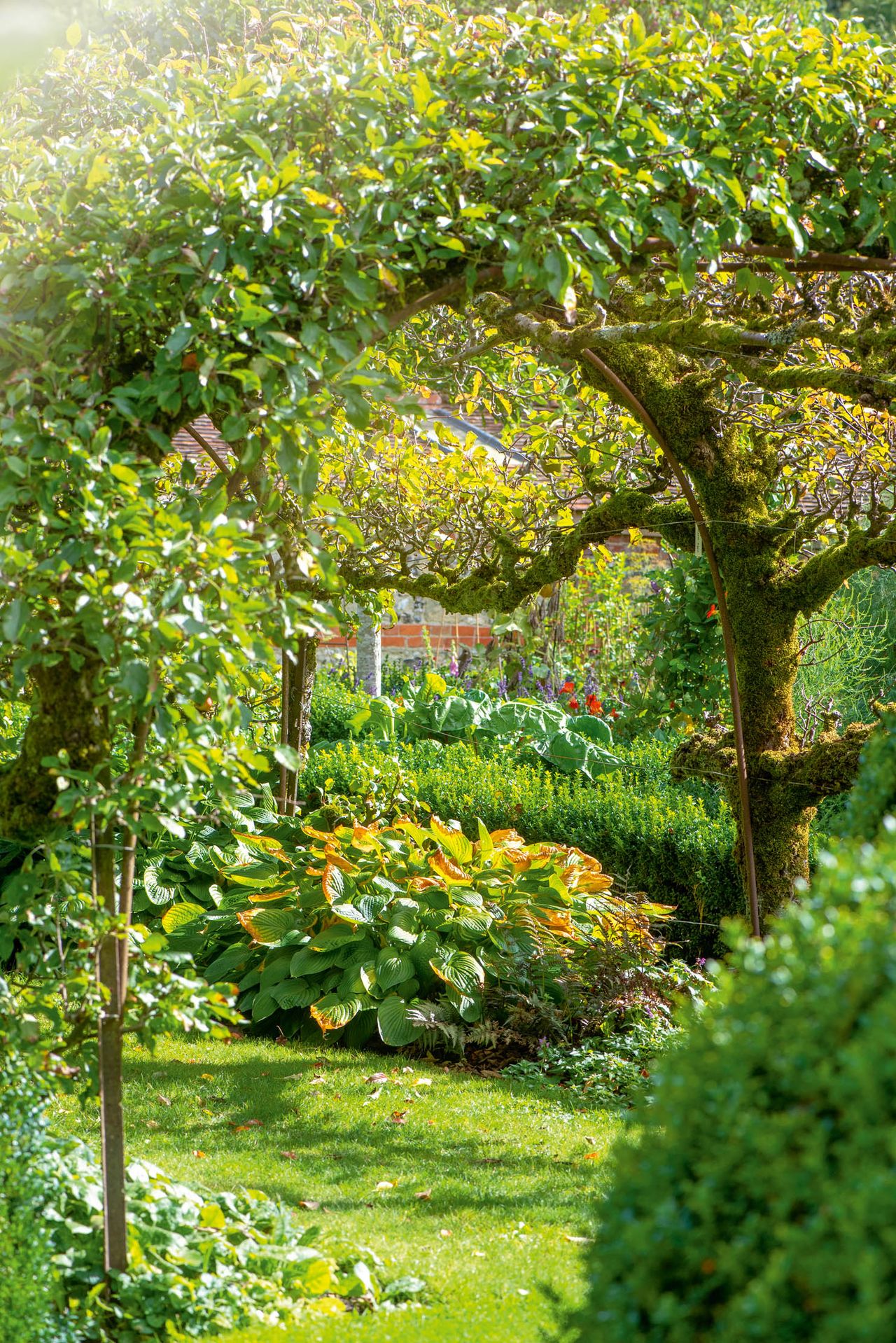 The ultimate guide to planting your own orchard: 'Getting it right is ...