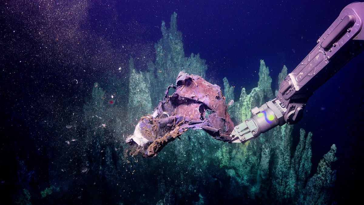 In Photos: Sea Life Thrives at Otherworldly Hydrothermal Vent System ...