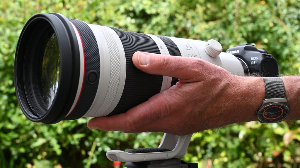Canon RF 100-300mm F2.8L IS USM review | Digital Camera World