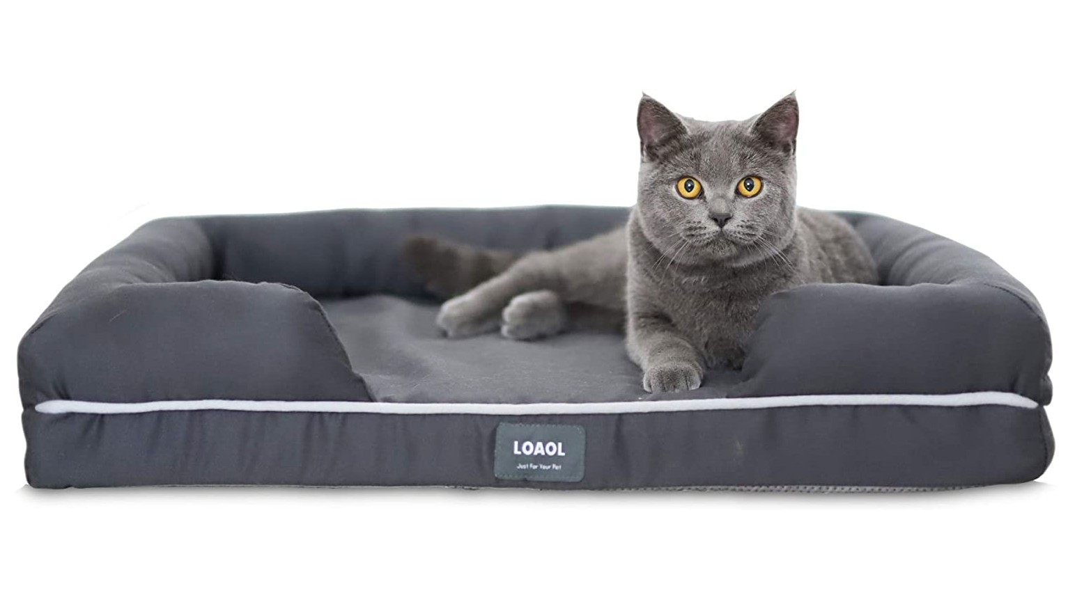Best cat sofa: Six places for your kitty to sit pretty | PetsRadar