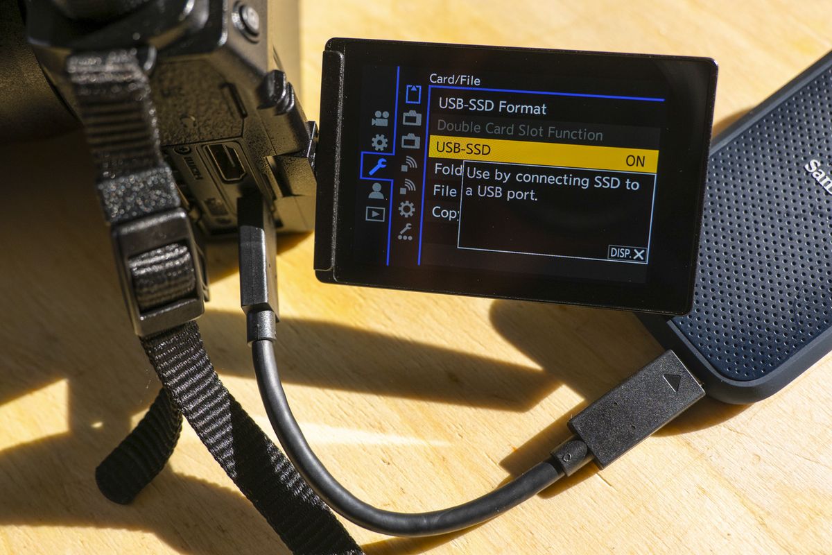 Panasonic LUMIX S5 II vs S5 IIX - key differences explained | TechRadar