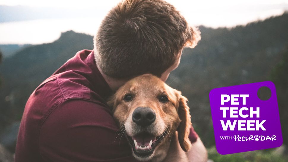 Microchip scanners: what do they do, and do you need one? | PetsRadar