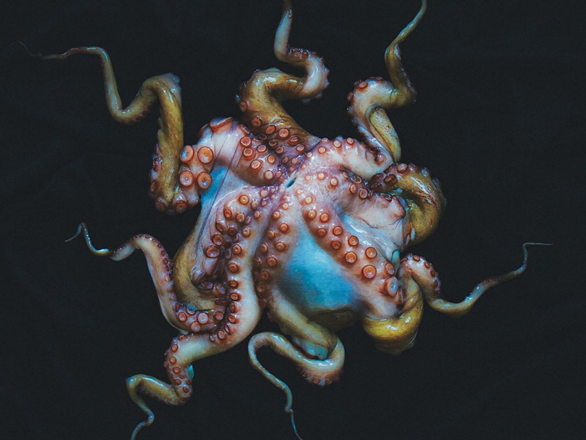 Ben Chatwin swaps dystopian fiction for post-rock on his latest album ...