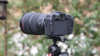 Canon EOS R8 review | Digital Camera World