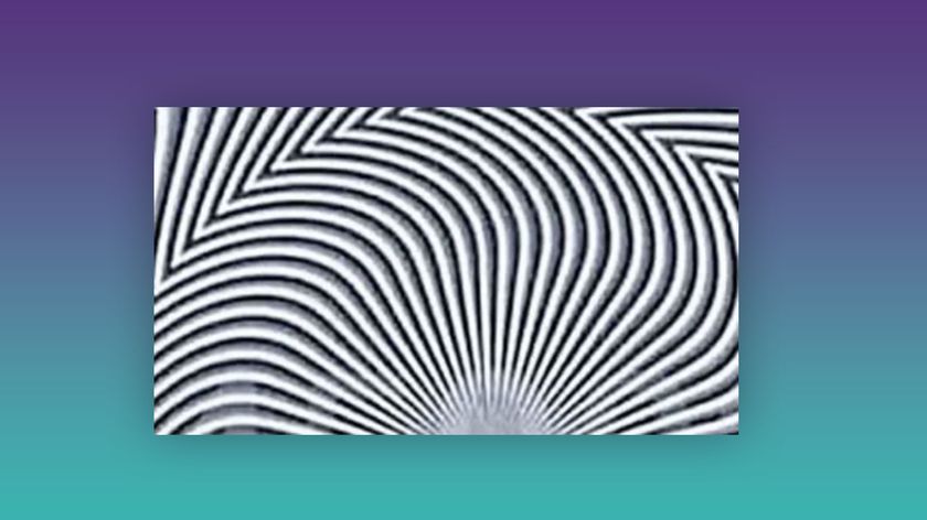 The world's most famous optical illusion turns 10 years old | Creative Bloq