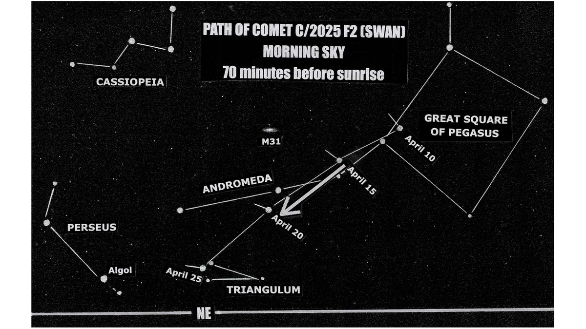 What to expect from the newfound Comet Swan: An observer's guide | Space