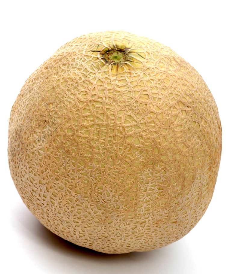 Athena Melon Care – Growing Athena Melons In The Garden | Gardening ...